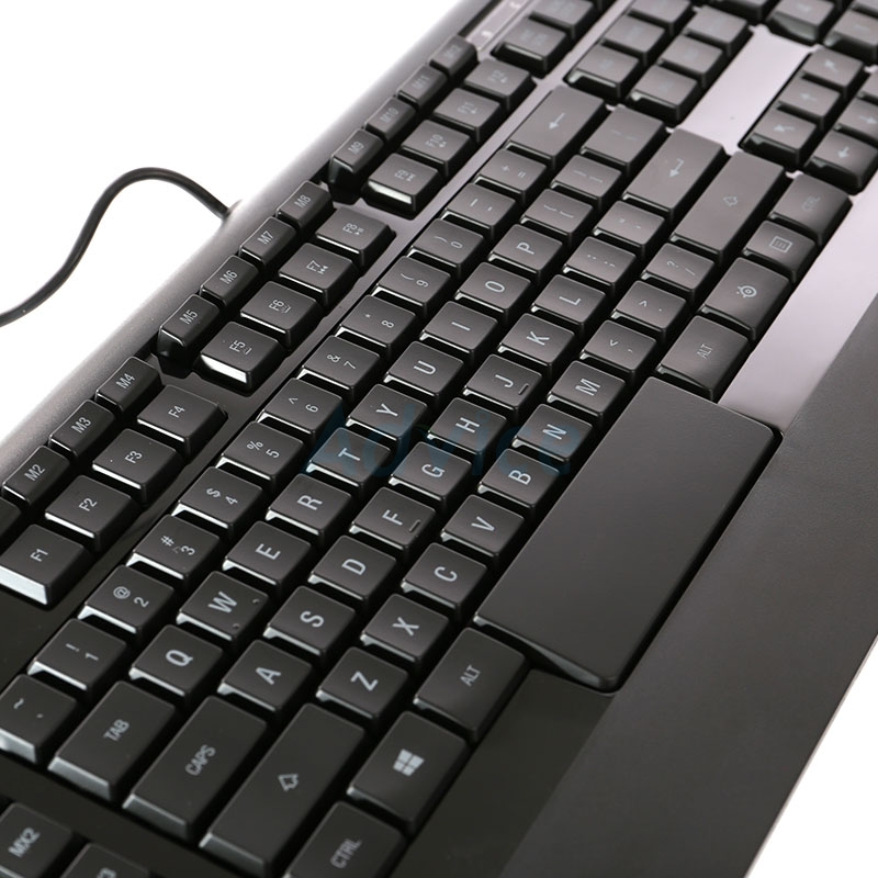 KB Steelseries Apex 300 (US)