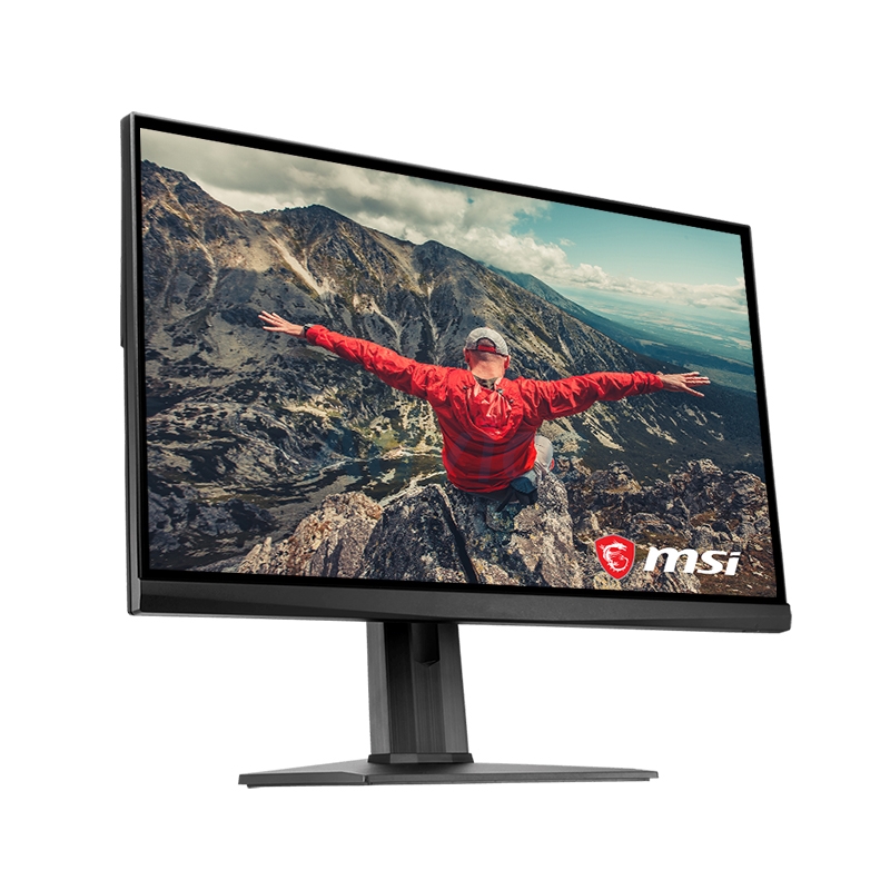 Monitor 24.5 MSI Optix MAG251RX (IPS, HDMI, DP, USB-C) 240Hz