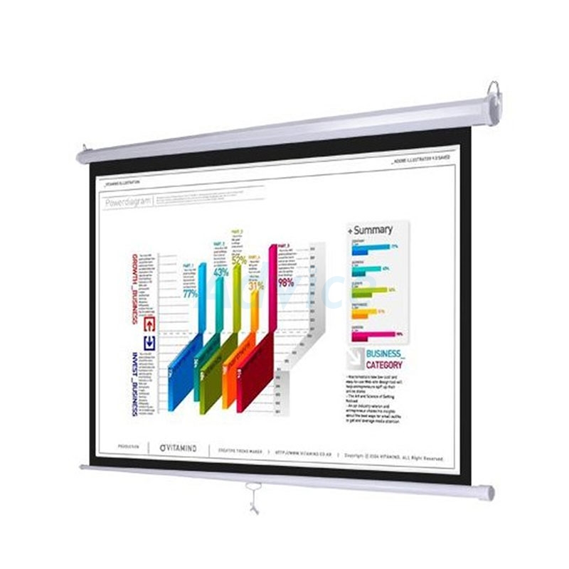 Screen Wall Gygar (120'') 16:10