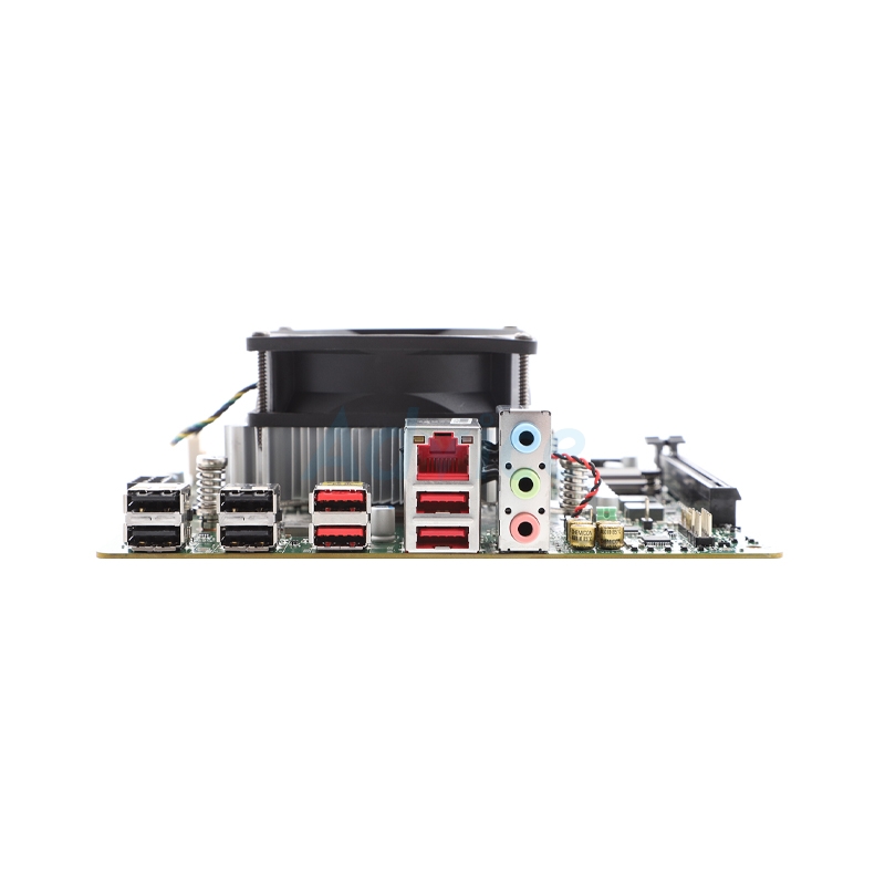 SET CARDINAL (AMD 4700S/AMD RX550)