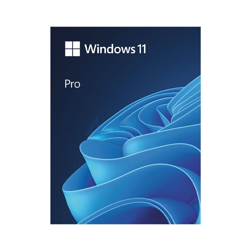 WINDOWS 11 PRO 64 BIT (FPP, HAV-00163)