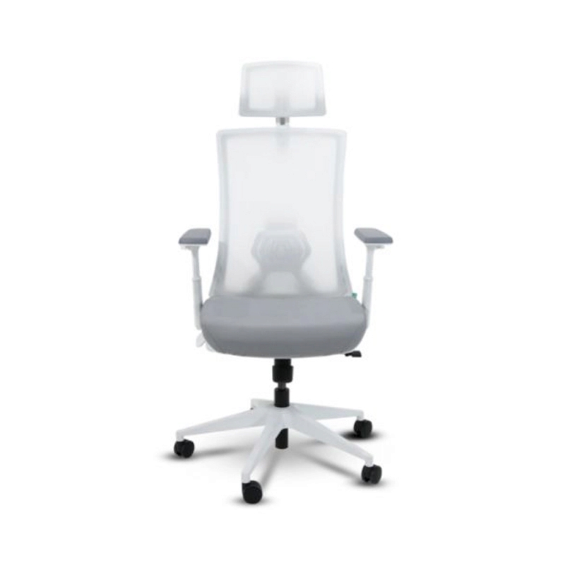 CHAIR BEWELL ERGONOMIC FROZEN | Advice จ.จันทบุรี สาขา A001 (ตรงข้าม ...