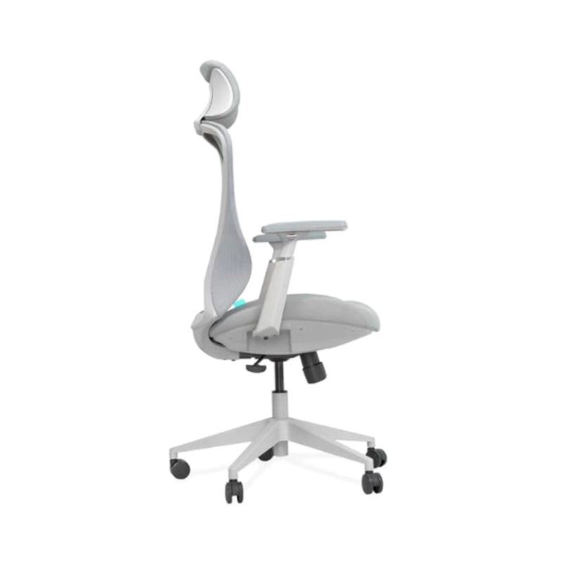 CHAIR BEWELL ERGONOMIC FOSTER PLUS | Advice จ.จันทบุรี สาขา A001 (ใกล้ ...