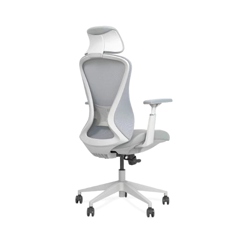 CHAIR BEWELL ERGONOMIC FOSTER PLUS | Advice จ.จันทบุรี สาขา A001 (ใกล้ ...