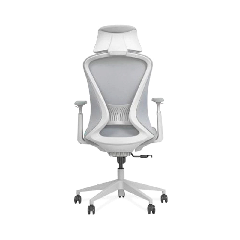 CHAIR BEWELL ERGONOMIC FOSTER PLUS | Advice จ.จันทบุรี สาขา A001 (ใกล้ ...