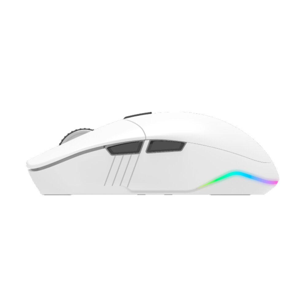 เมาส์ไร้สาย Signo WG904 Xander Wireless Gaming Mouse White