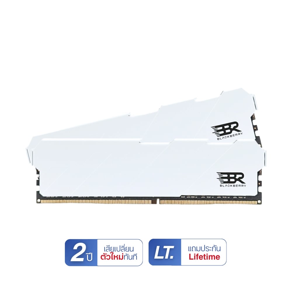 RAM DDR4(3200) 32GB (16GBx2) BLACKBERRY 3200 PRO SERIES WHITE | Advice ...